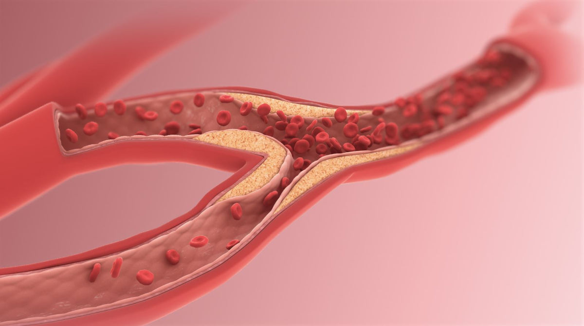 Erectile Function and Blood Flow – AFFIRM Science
